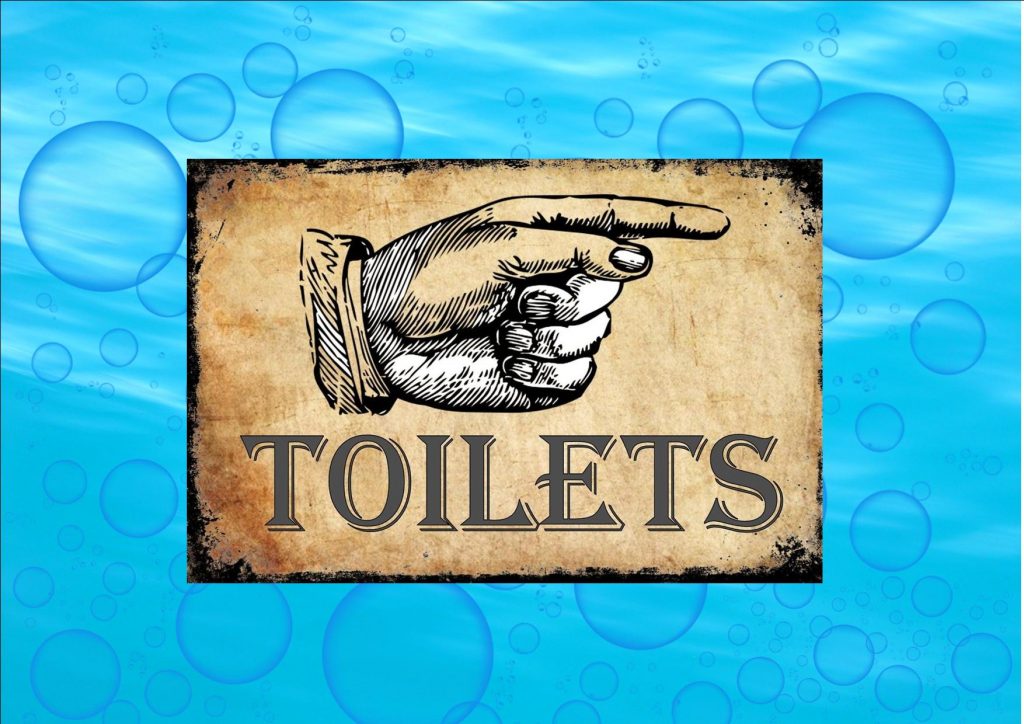 Pointing Hand Vintage Style Toilet Sign – The Rooshty Beach