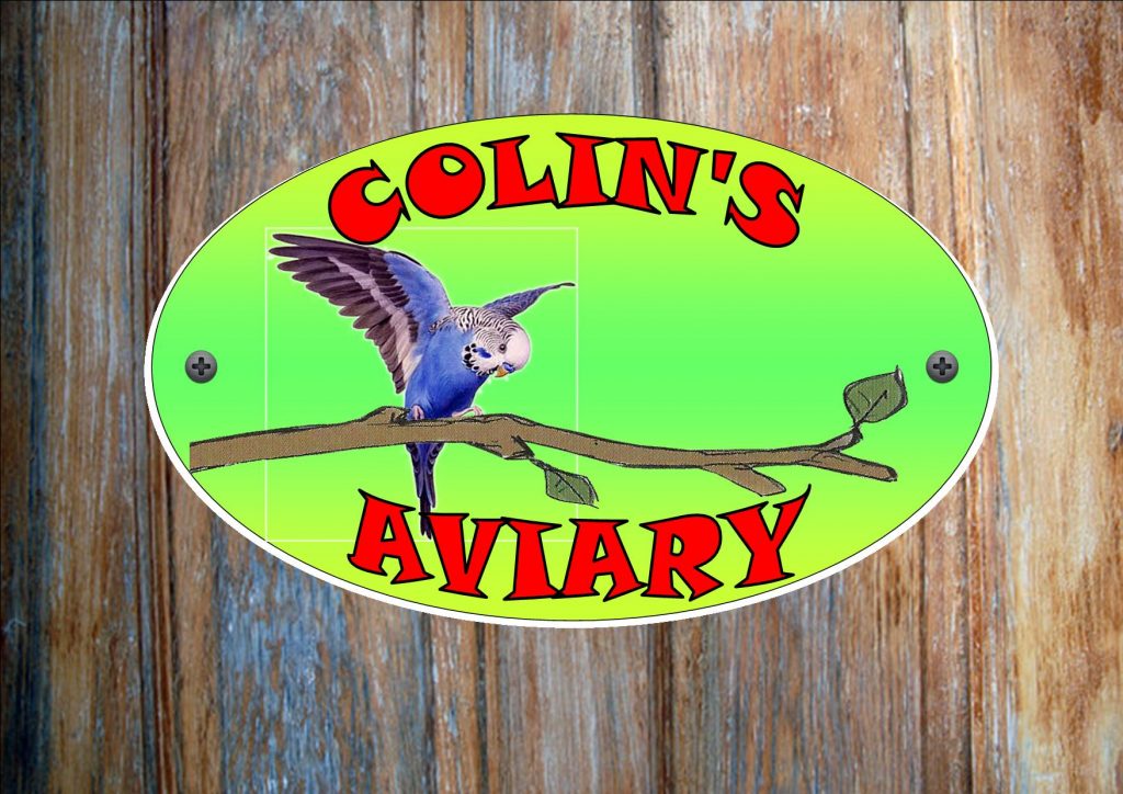 Budgie Personalised Aviary Sign Blue – The Rooshty Beach